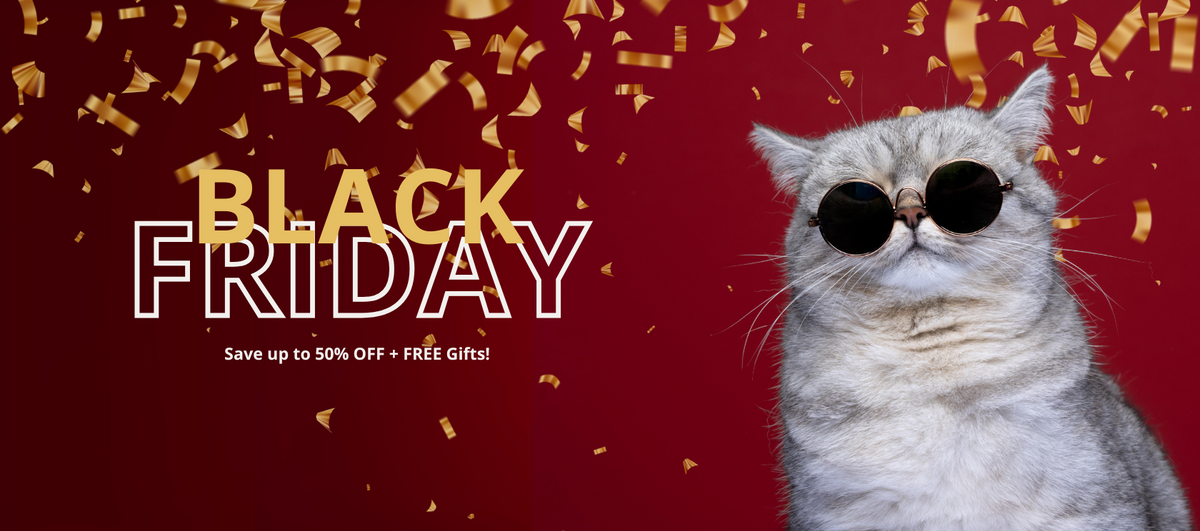 Gentle Paws™ Supplies | Toys, Accessories, Furniture & More for Cats