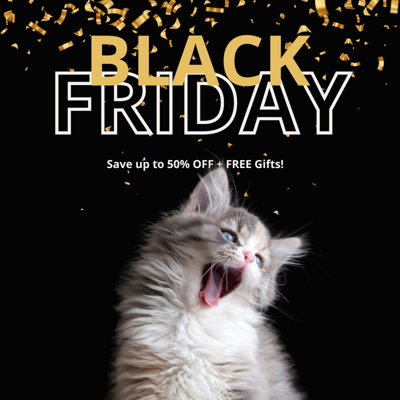 Gentle Paws™ Supplies | Toys, Accessories, Furniture & More for Cats